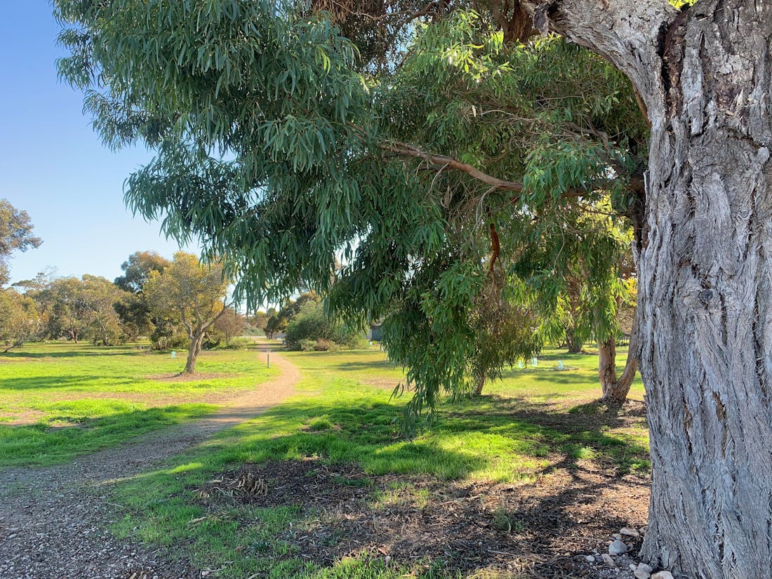 Stansbury Centenary Park - Stansbury, Attraction