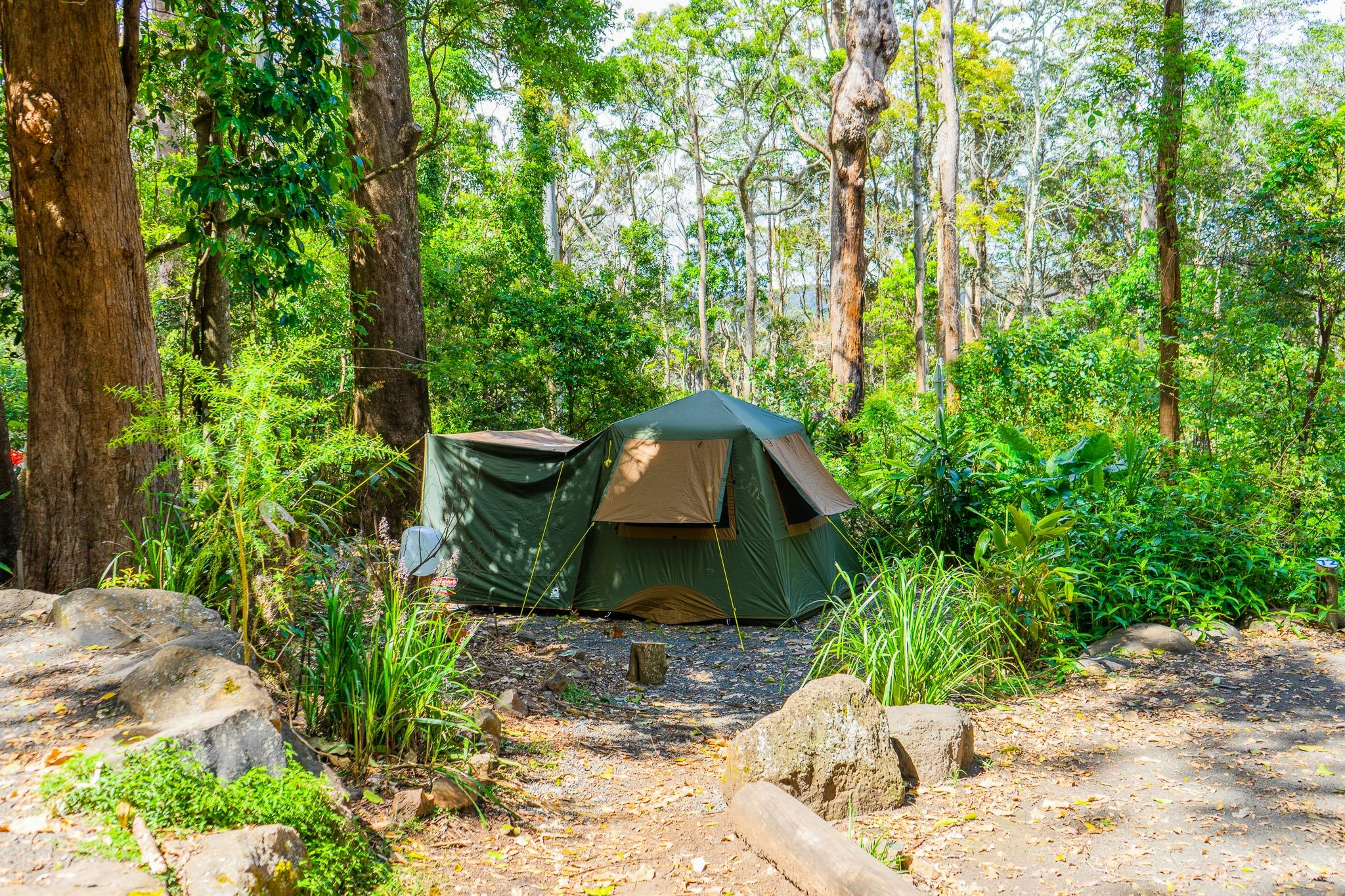 Binna Burra Rainforest Campsite and Safari Tents