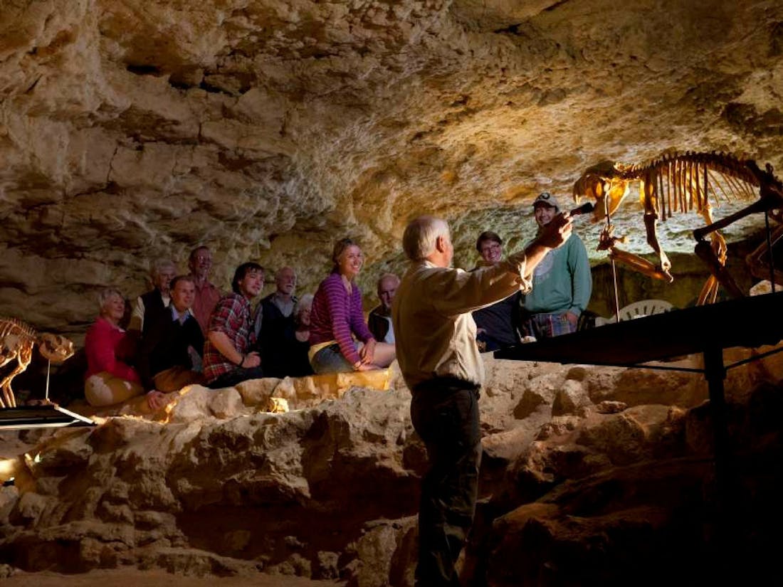Naracoorte Caves National Park - Naracoorte, Attraction | South A...