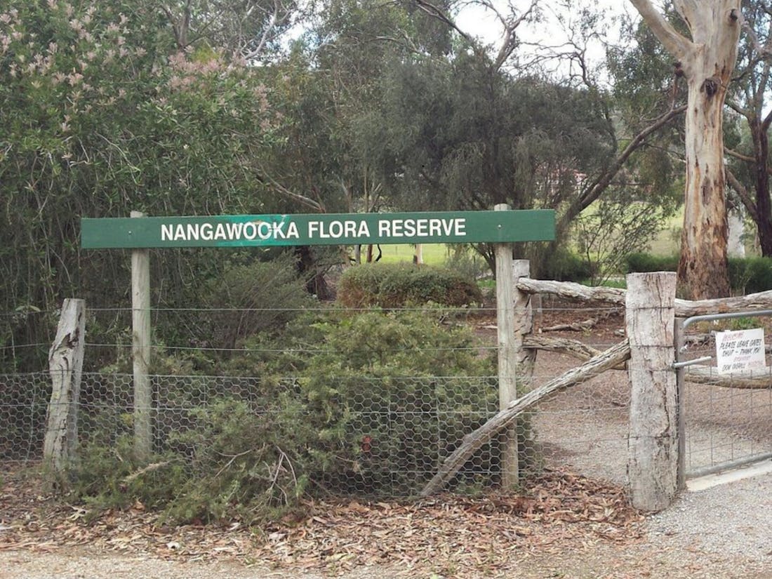 Nangawooka Flora Reserve - Hindmarsh Valley, Attraction