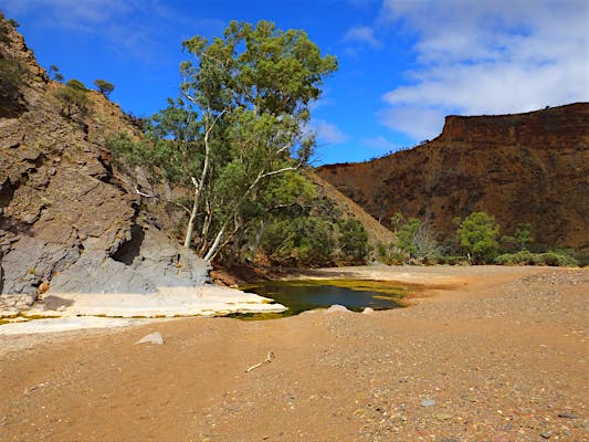 1 Full Day "Ultimate Flinders Experience" Very Big Day Tour of th...