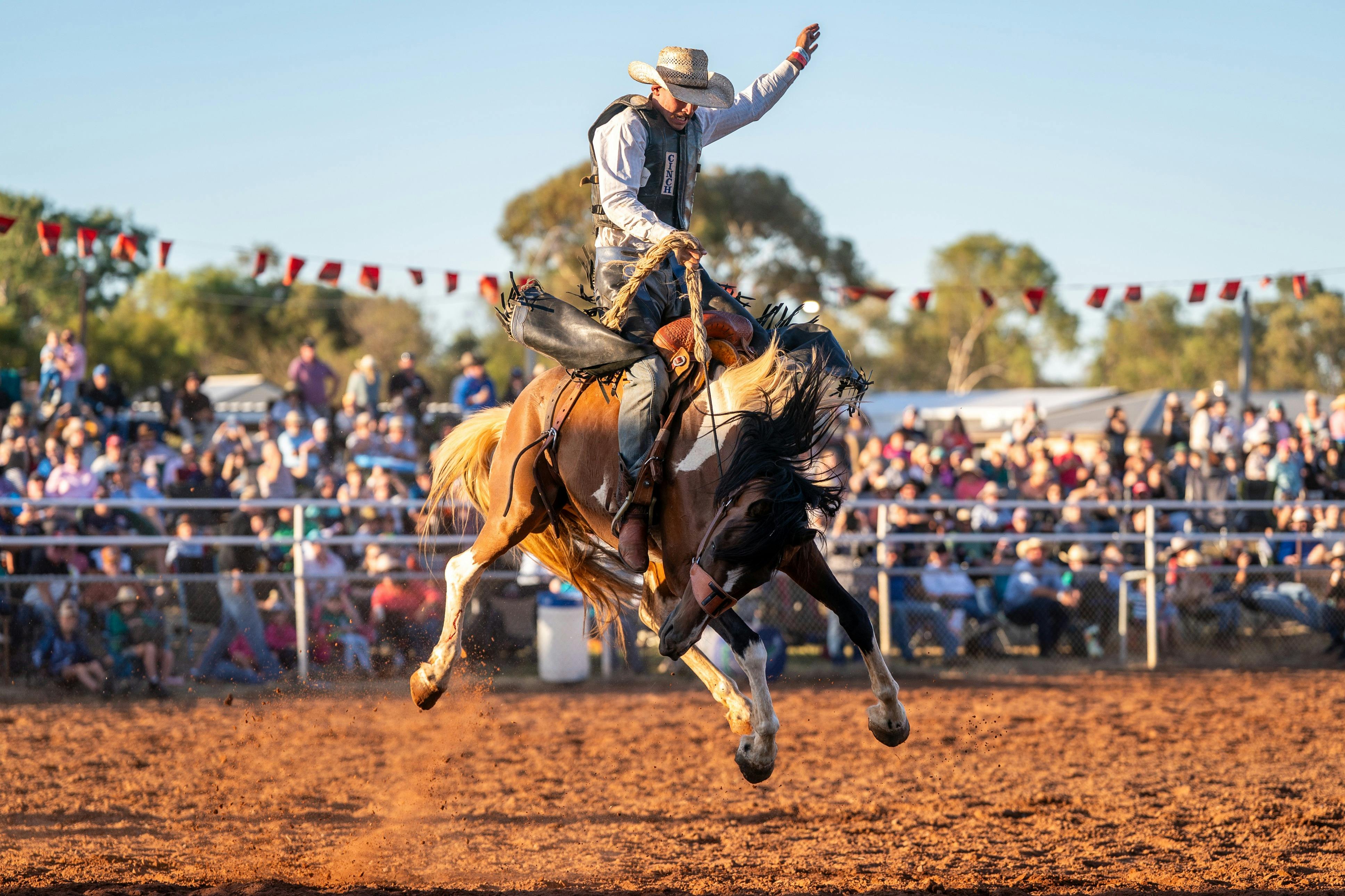 Wilmington Night Rodeo in Wilmington - The Fold: Your Guide to ...