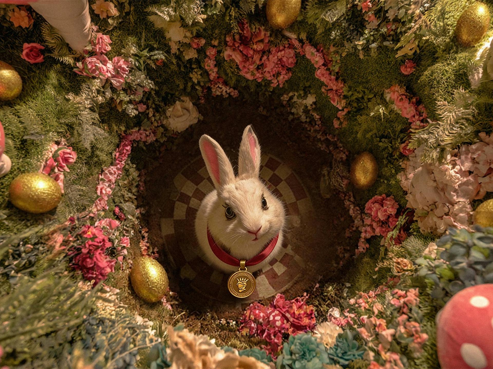 Down the Easter Rabbit Hole Lunch in Adelaide - The Fold: Your Guide to ...