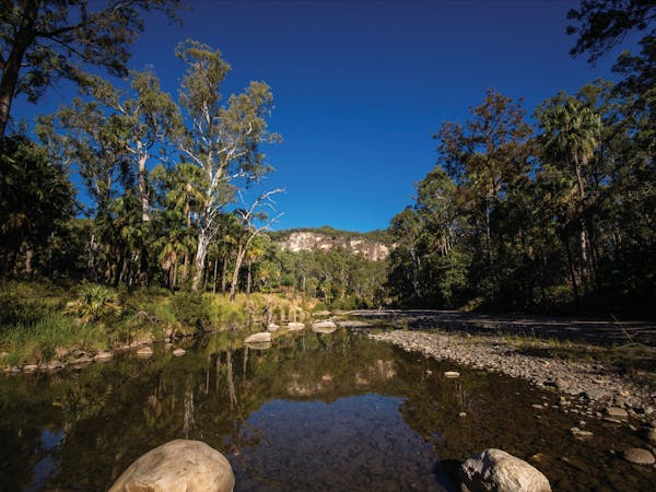 Carnarvon Gorge Carnarvon National Park | Attractions | Queensland