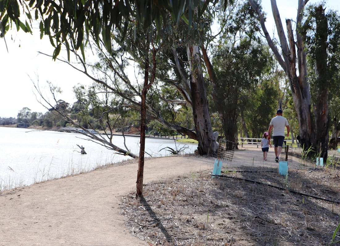 Snake Island - Loxton, Attraction | South Australia