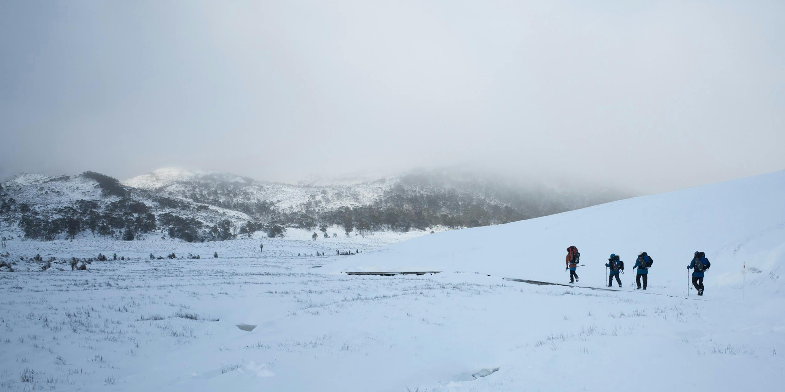 Cradle Mountain Expedition Walk | Tour | Discover Tasmania