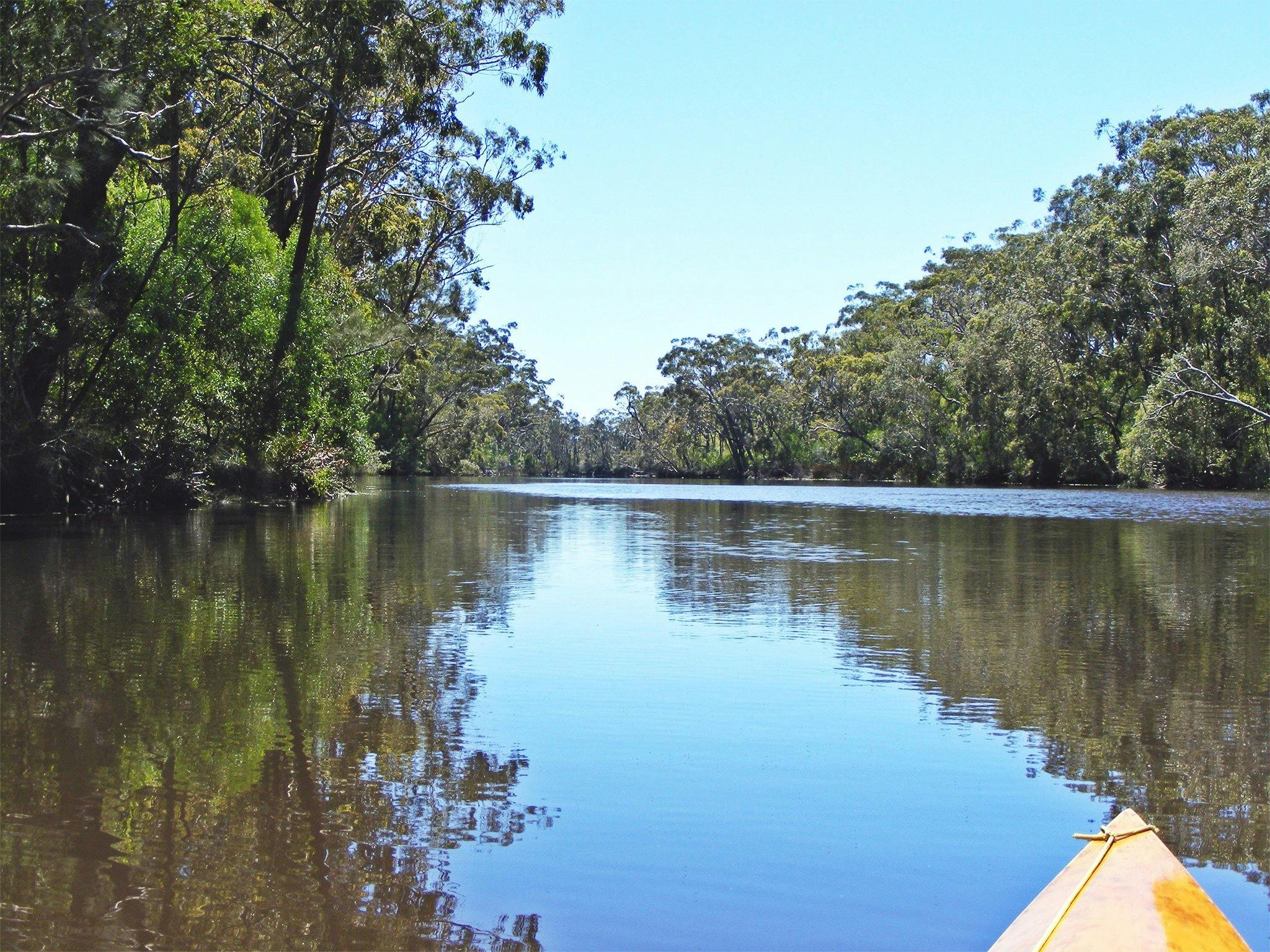Esk River | NSW Holidays & Accommodation, Things to Do, Attractions and ...