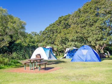 Blackbutt | Destination-information | Queensland