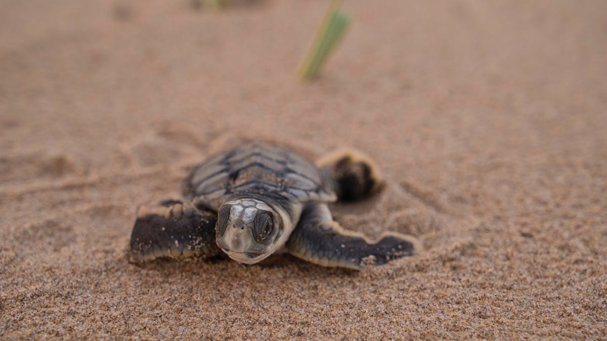 Deepwater National Park | Attractions | Queensland