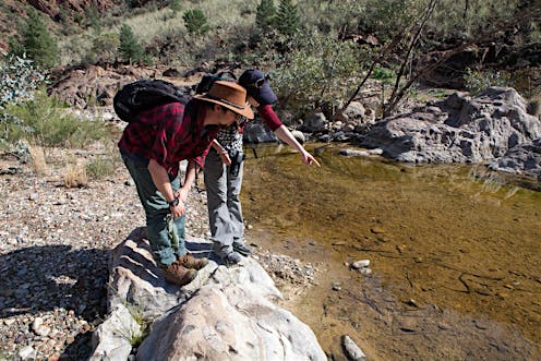 Vulkathunha-Gammon Ranges National Park - Murnpeowie, Attraction ...