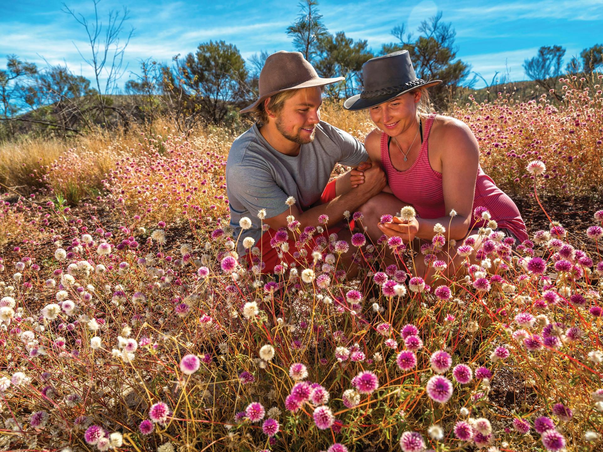 Pilbara Wildflower Trail in Exmouth - The Fold: Your Guide to ...