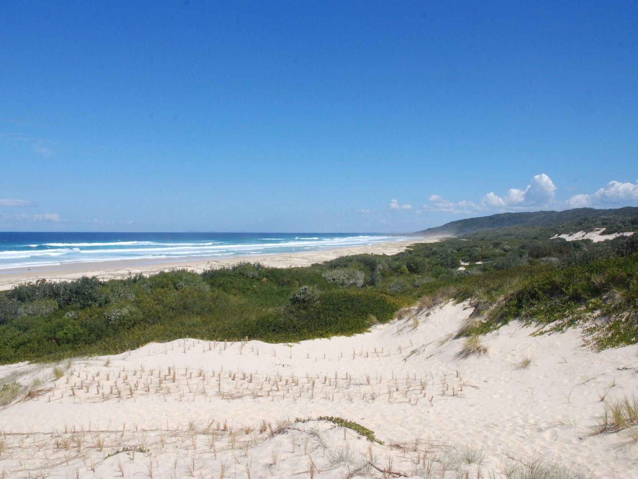 Treachery Beach | NSW Holidays & Accommodation, Things to Do ...