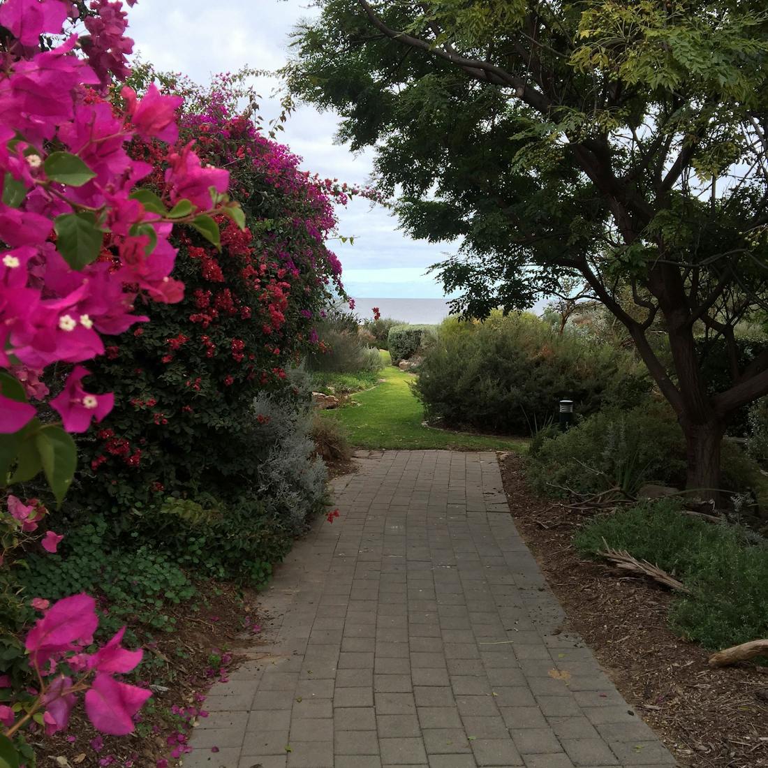 Secret Garden, Moonta Bay - Moonta Bay, Attraction