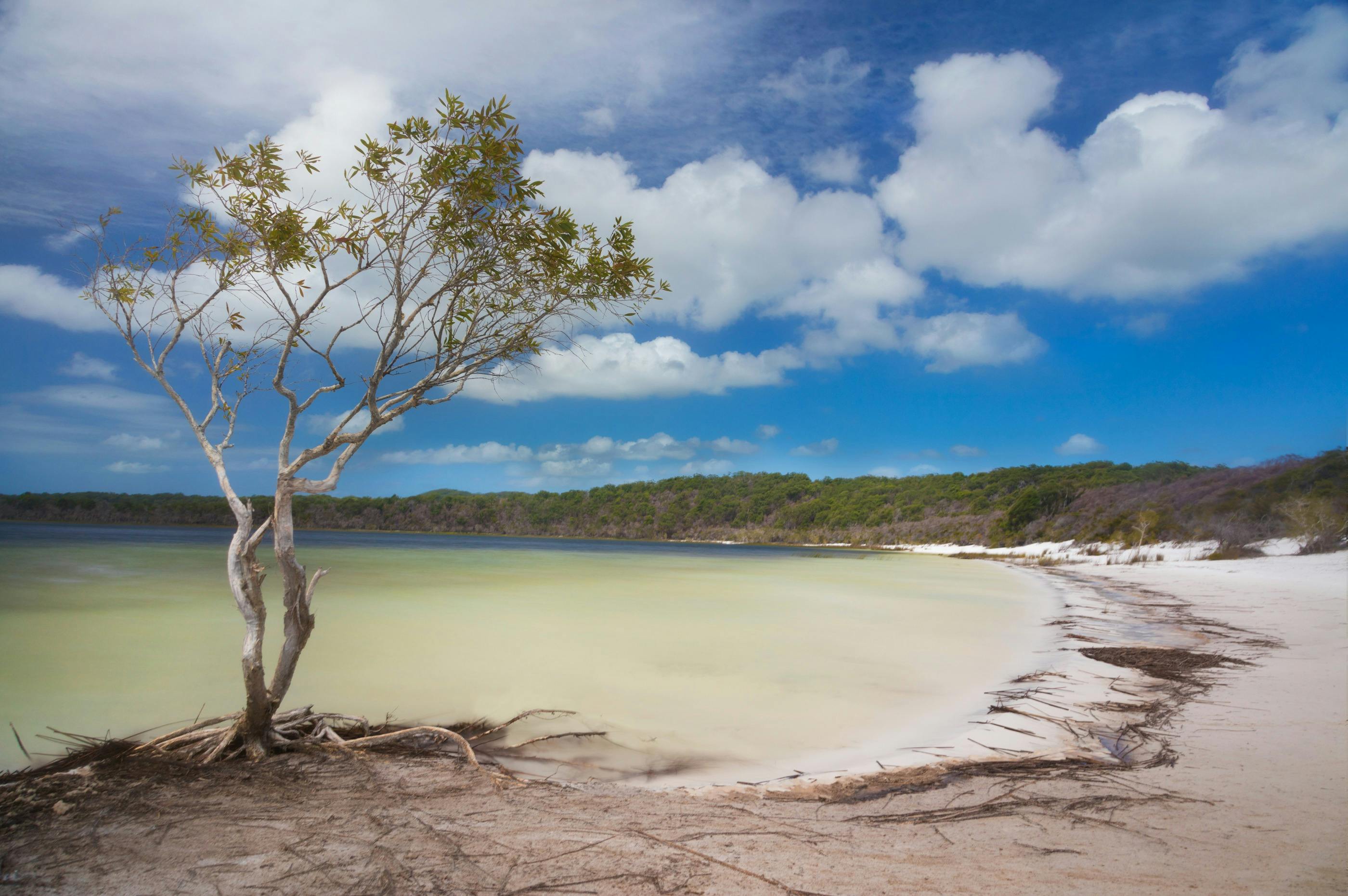 Lake Birrabeen | Visit Fraser Coast