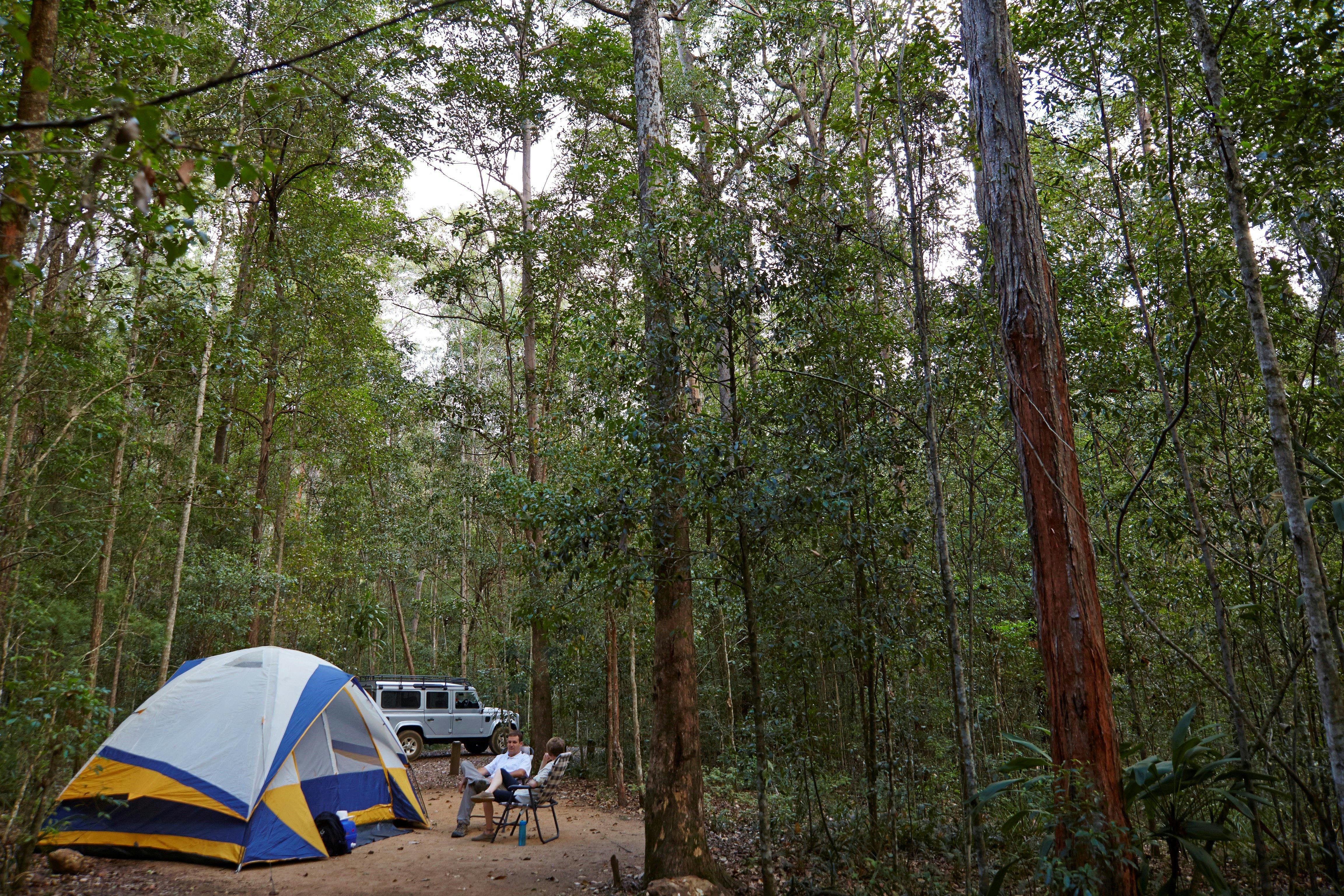 Daguilar National Park Camping | Accommodation | Queensland