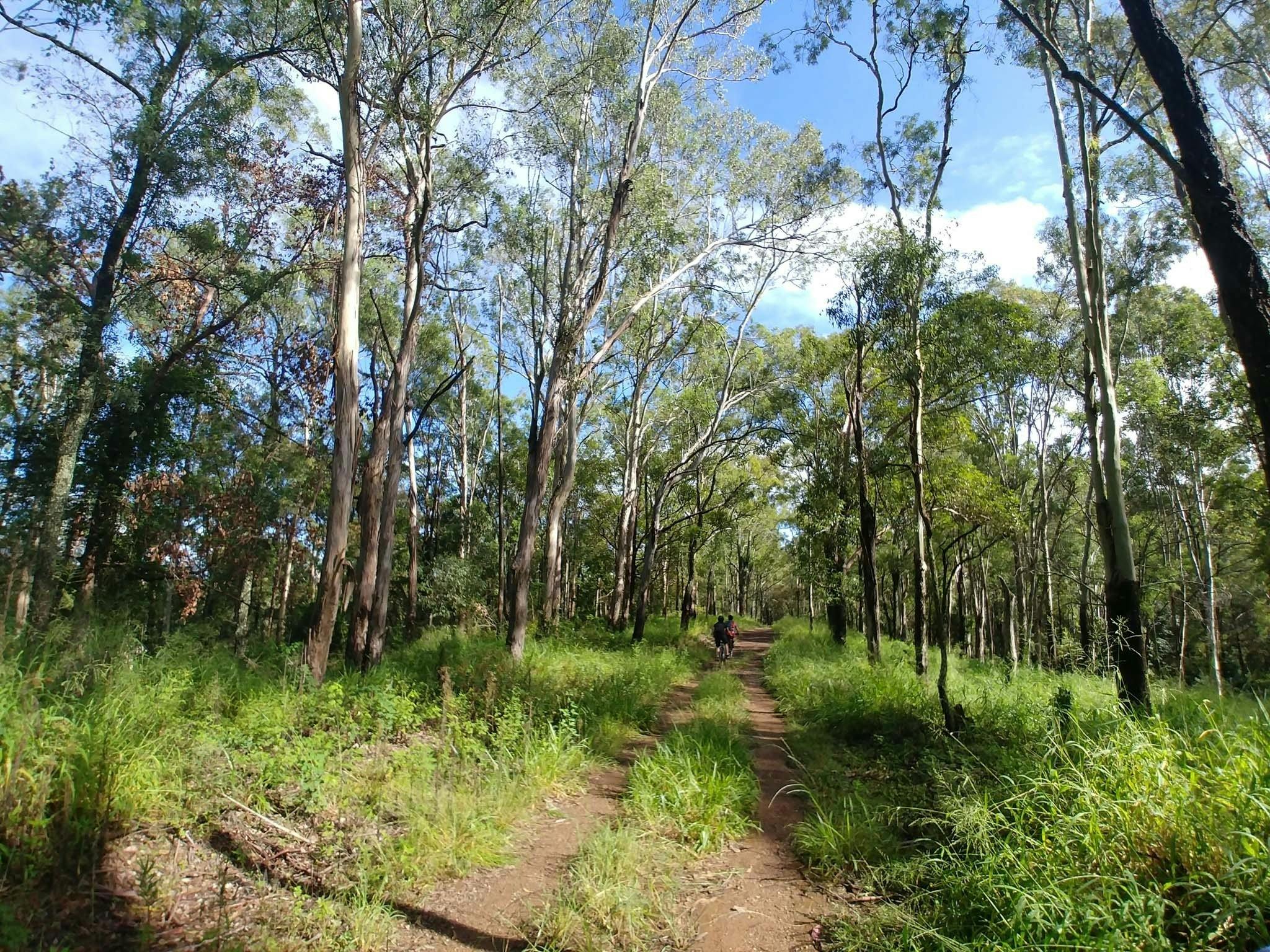 Samford Conservation Forest