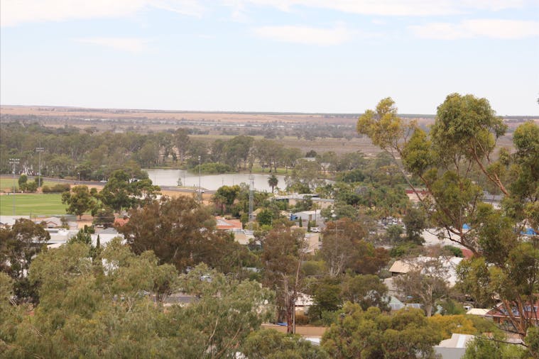 Berri Lookout Tower - Berri, Attraction | South Australia