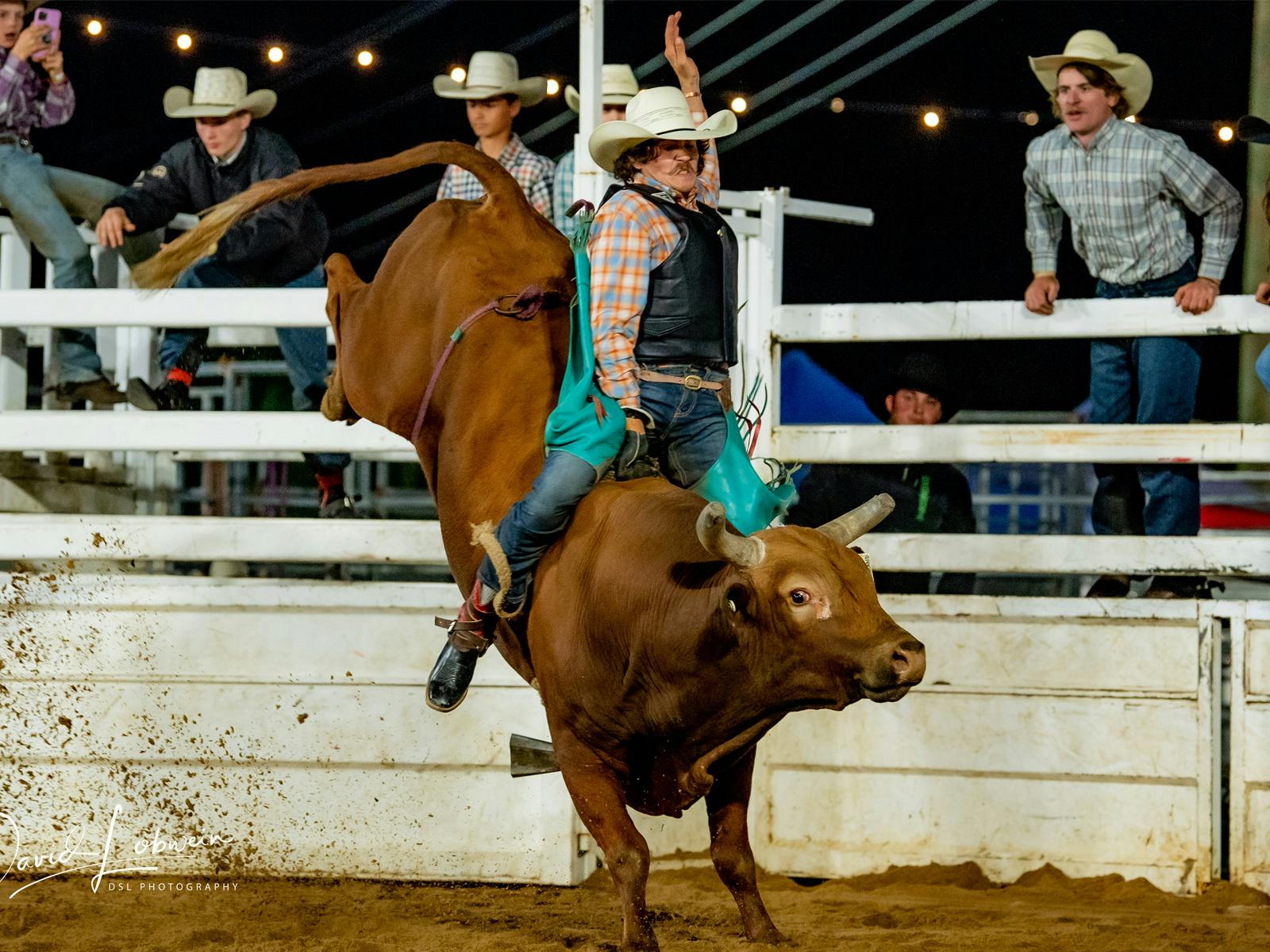 Bull-O-Rama - Ipswich Showgrounds