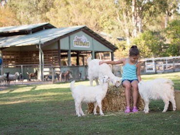 Best Queensland Farm Stays and Farm Cottages | Queensland