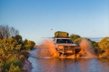 Witjira National Park - Oodnadatta, Attraction | South Australia