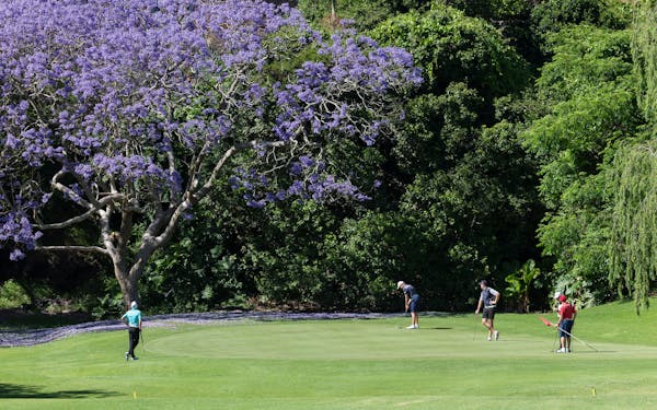 Kiama Golf Club - Destination Kiama