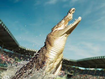 Wildlife Hq Zoo | Attractions | Queensland