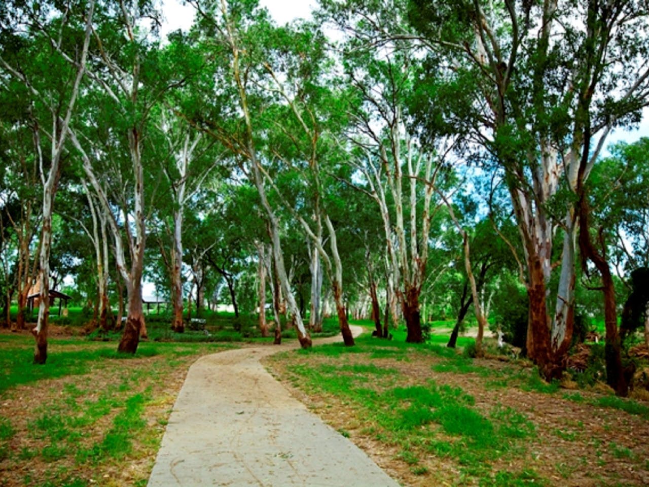 Roma | Outback Queensland