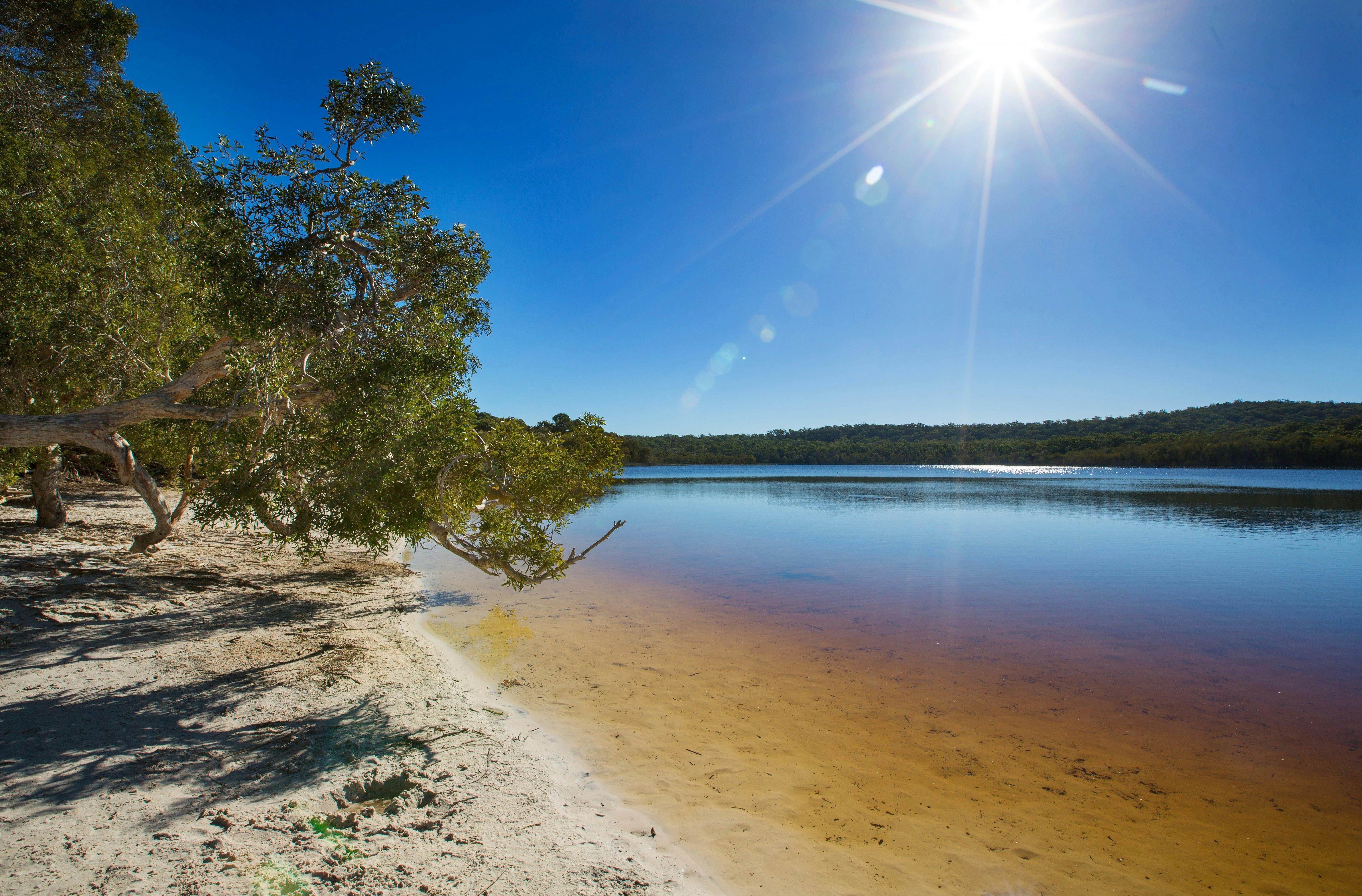 Brown Lake | Attractions | Queensland