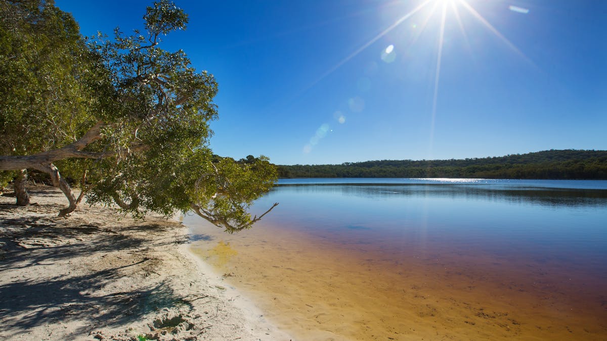 Brown Lake | Attractions | Queensland