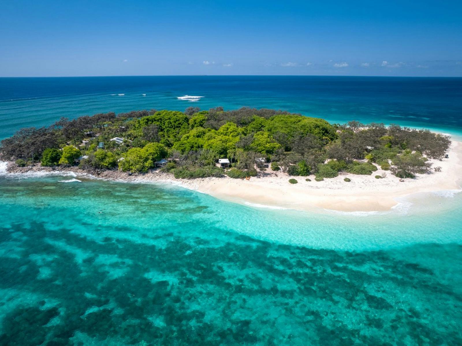 Wilson Island | Destination-information | Queensland
