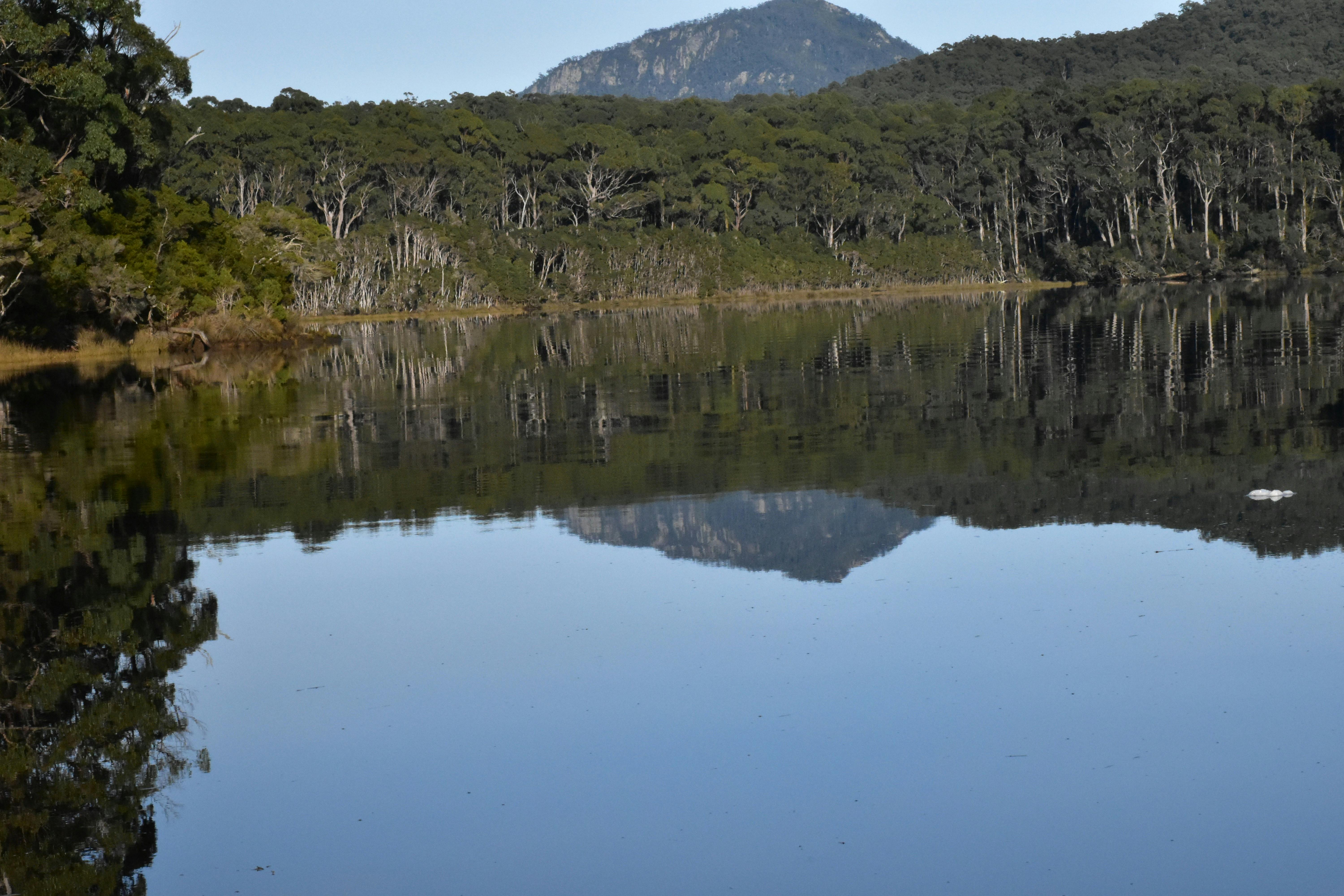 Leven River Cruises