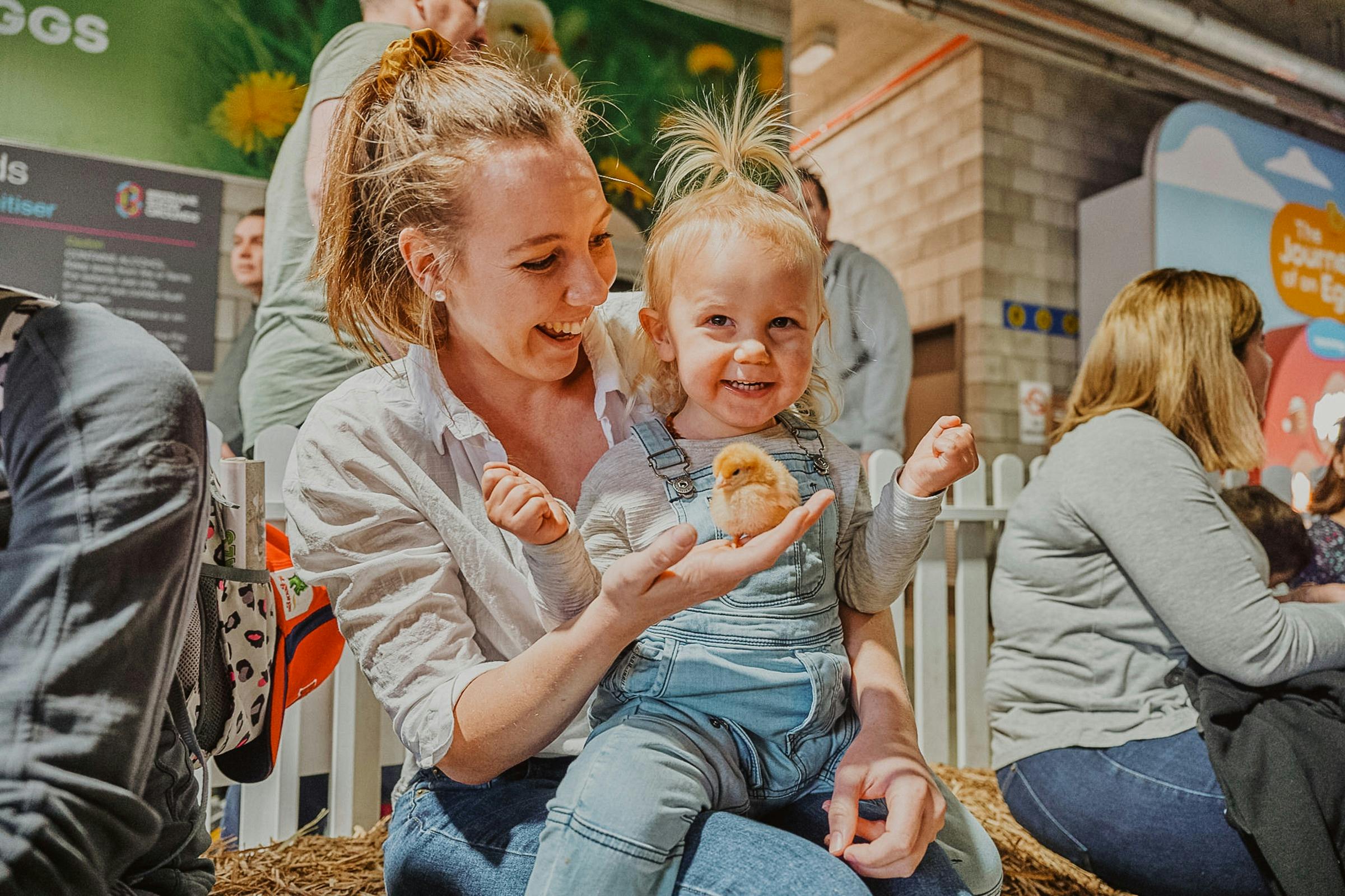 Ekka | Royal Queensland Show