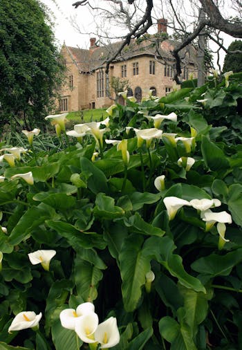 Carrick Hill - Adelaide, Attraction | SA Tourism