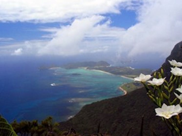 Mount Gower Climb | NSW Holidays & Accommodation, Things to Do ...