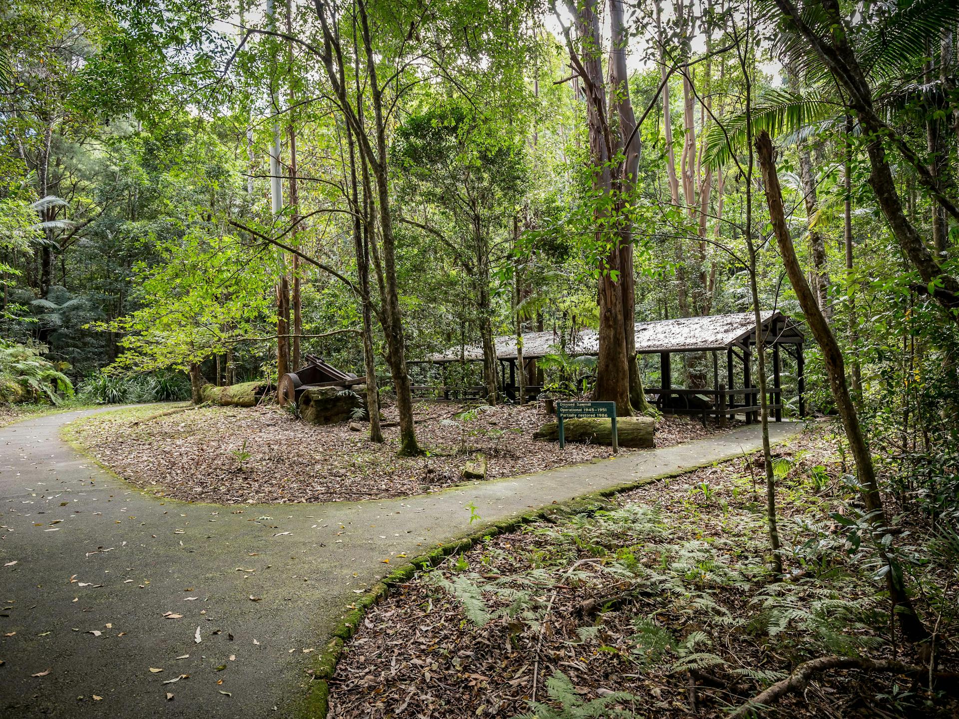 Mount Cougal, Springbrook National Park in Currumbin Valley - The Fold: Your Guide to Everything ...