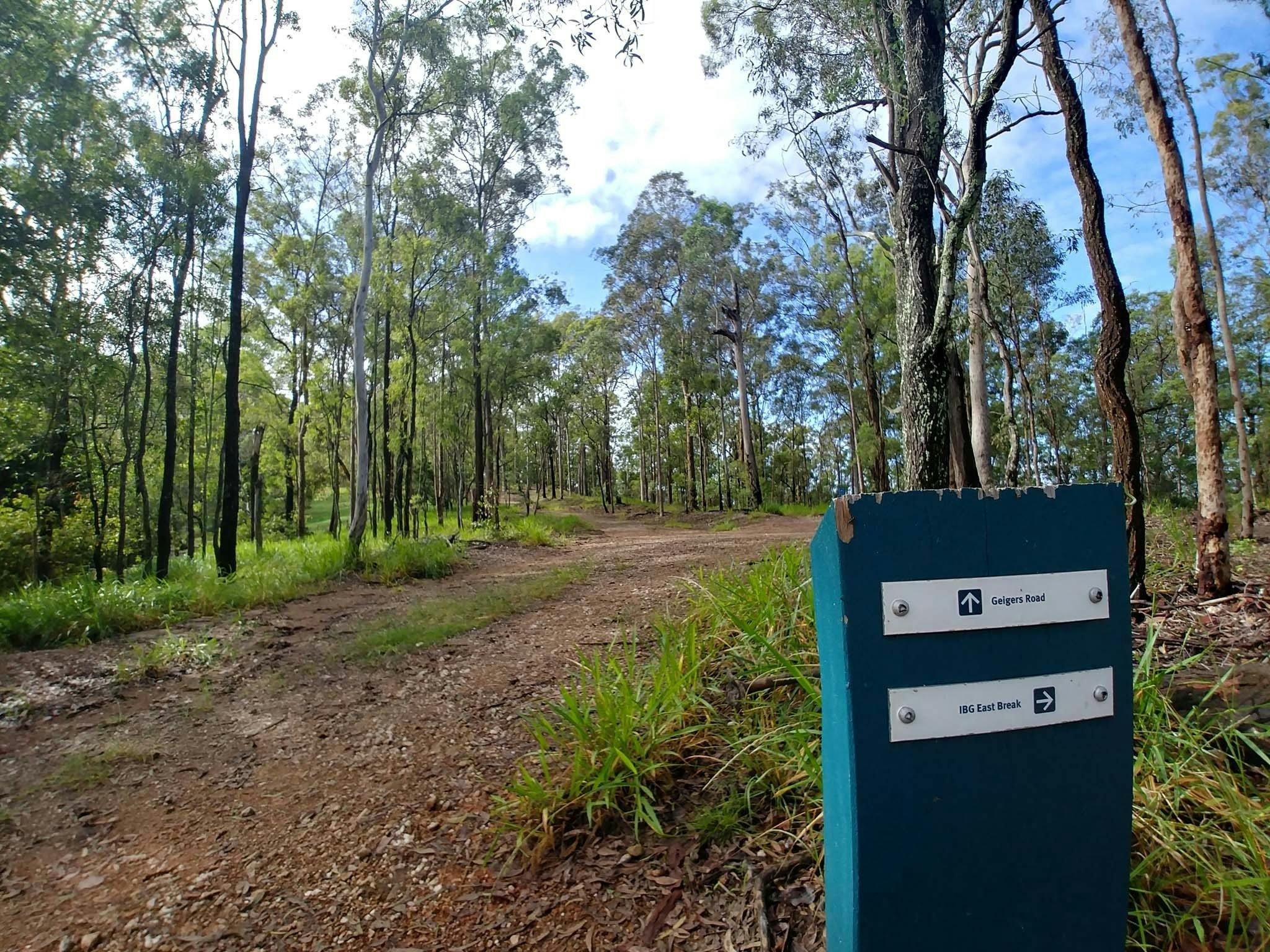 Samford Conservation Forest
