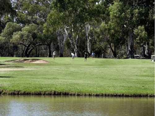 Barham Activities | Things to do in Barham