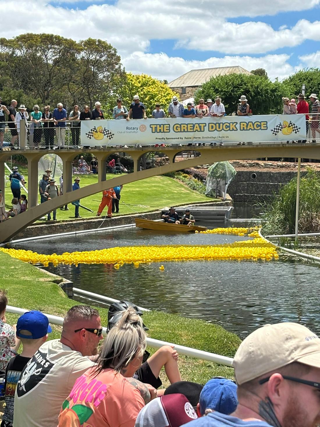 Strathalbyn Rotary Duck Race - Strathalbyn, Event