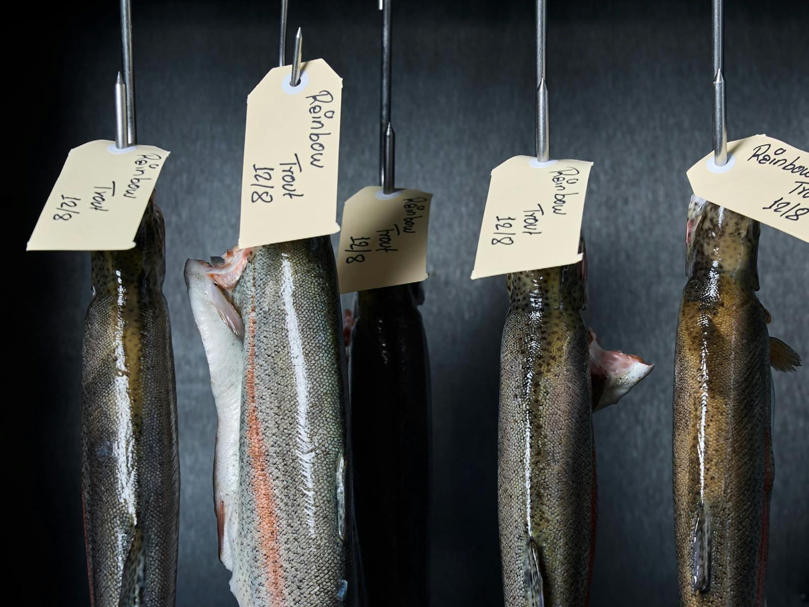 Fosh Bar and Restaurant