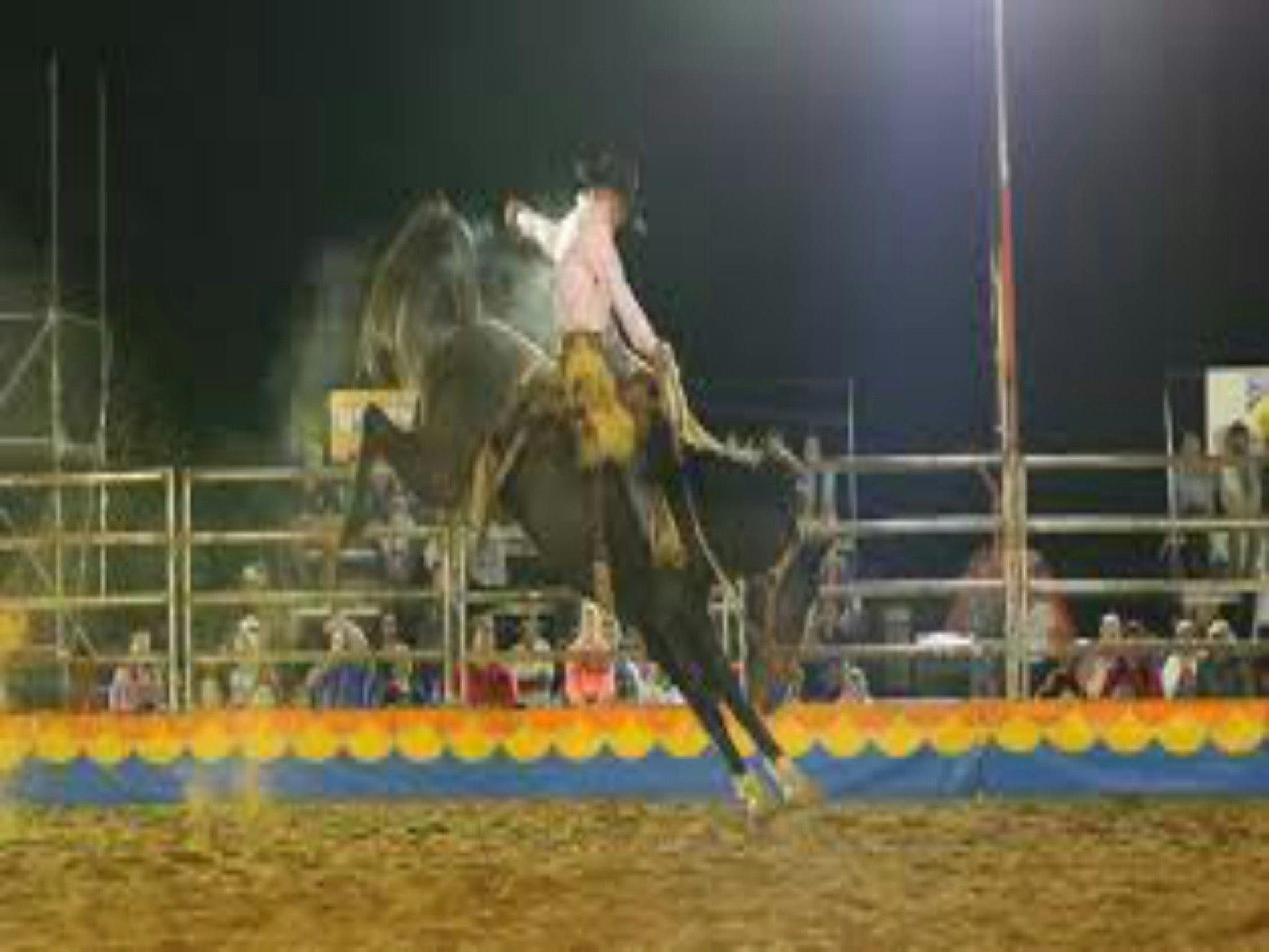 Dungog Rodeo | NSW Holidays & Accommodation, Things to Do, Attractions ...
