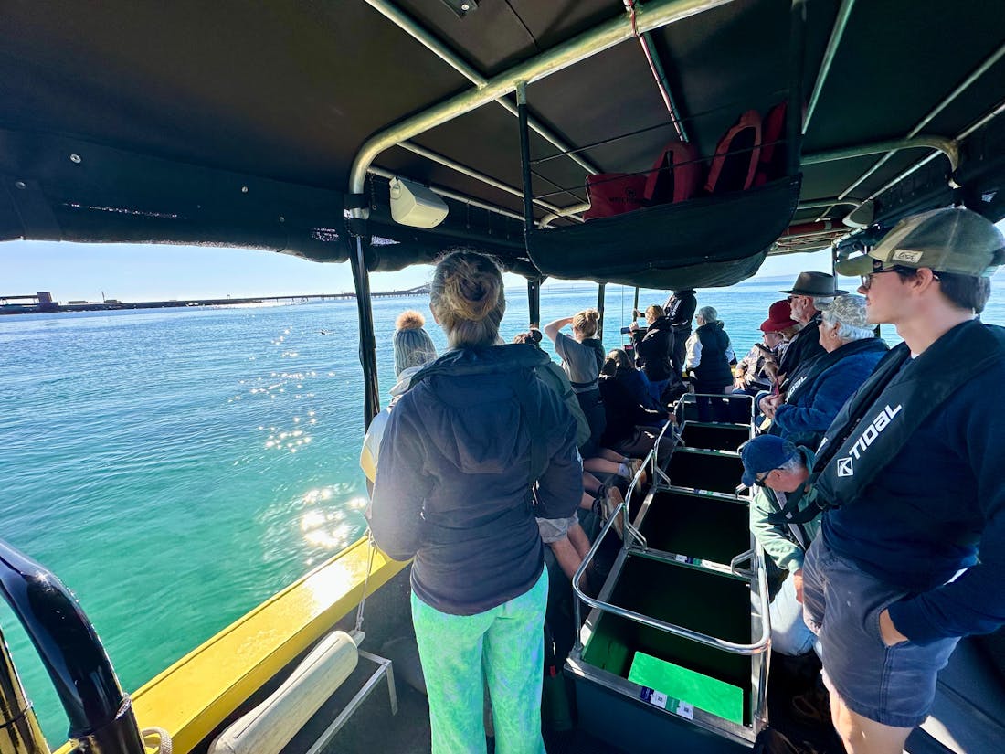 Ultimate Glass Bottom Boat Tour - Whyalla, Tour Service | South A...