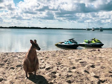 Iplay Adventure Coomera | Attractions | Queensland