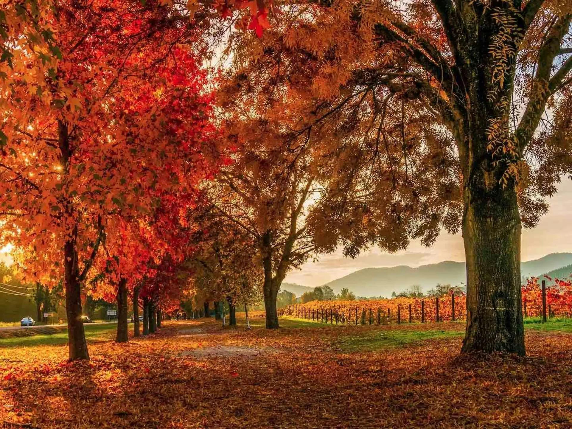 Fun Over 50 Holidays Immersive Tours And Adventures | Tours | Queensland