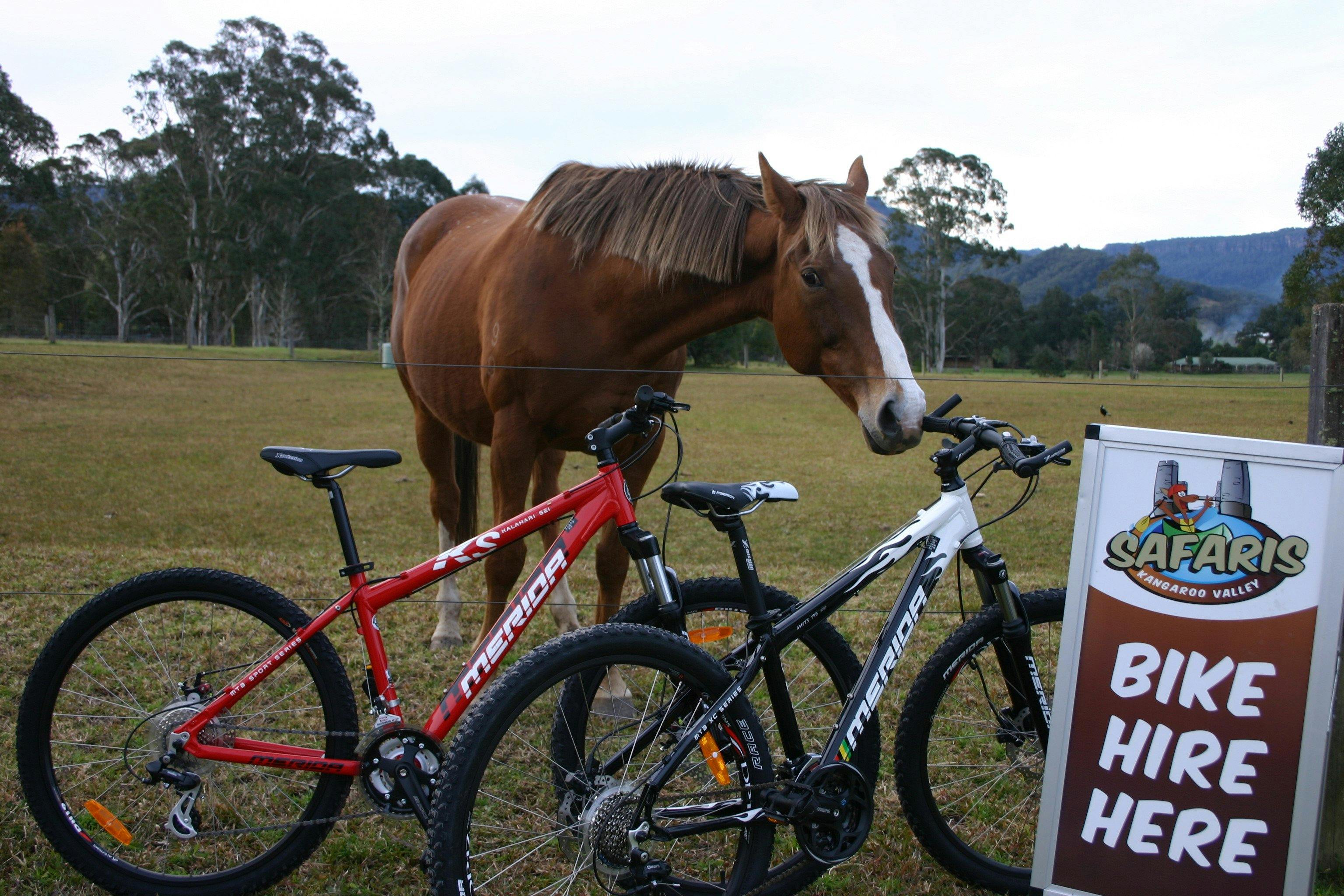 Kangaroo Valley Safaris Kayak and Canoe Hire | NSW Holidays ...