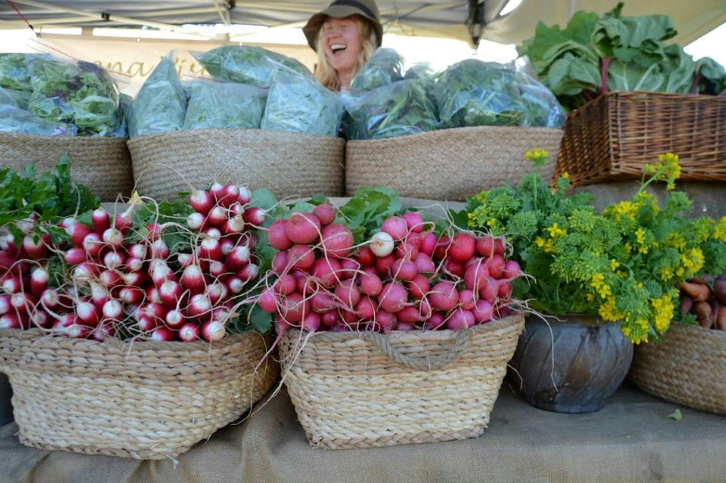 Berry Farmers' Market | NSW Holidays & Accommodation, Things to Do ...