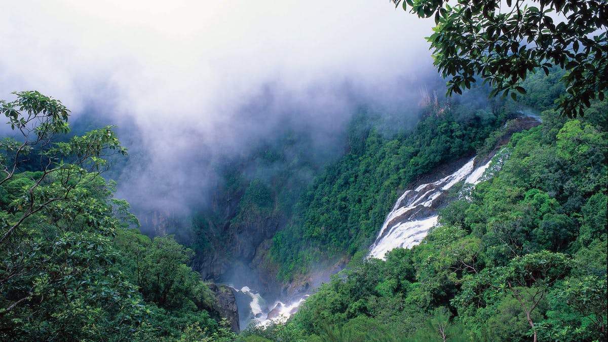 Tully | Destination-information | Queensland