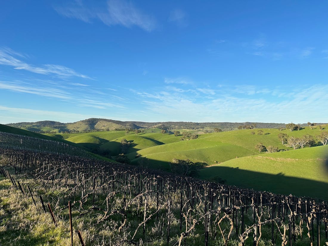 MC Wine Tours Barossa Valley - Tanunda, Tour | trade.southaustral...