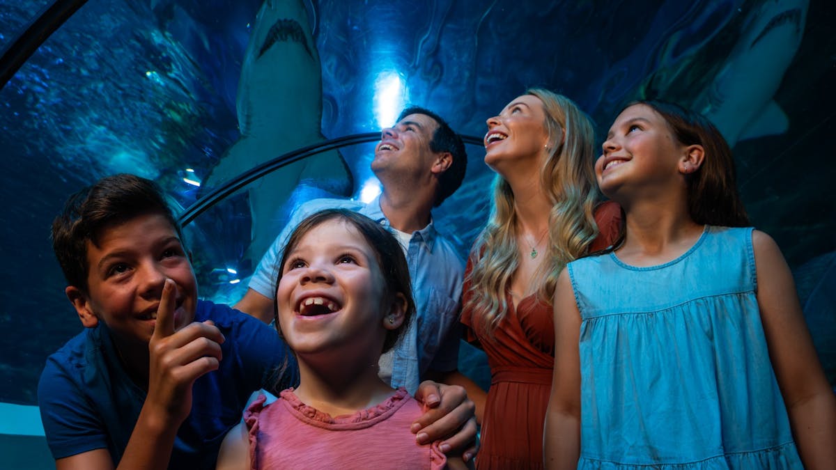 Sea Life Sunshine Coast | Attractions | Queensland