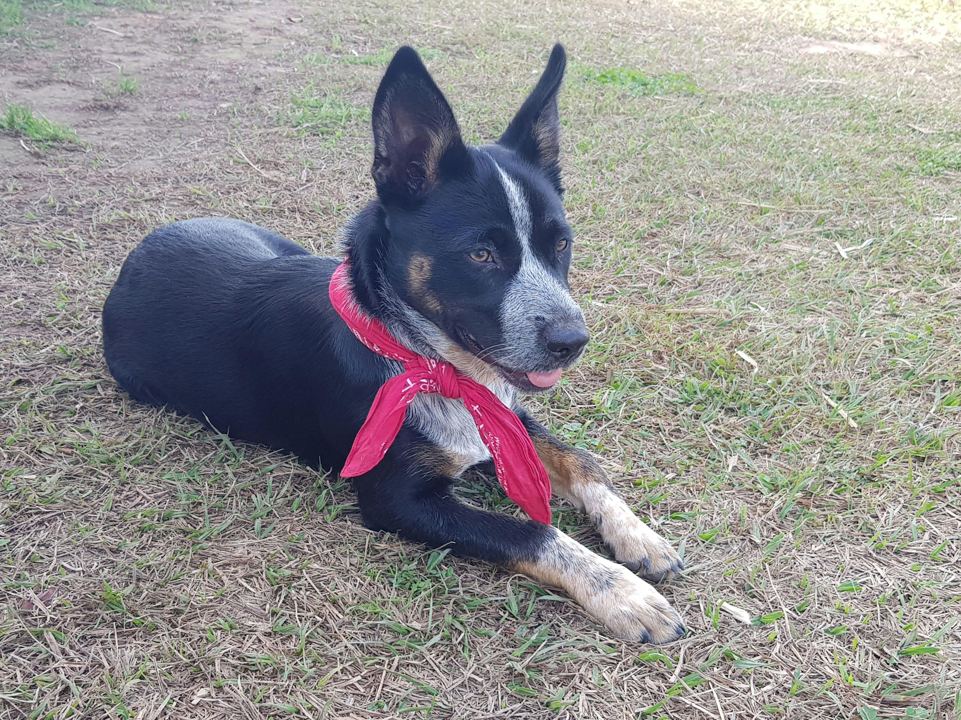 LuvaBerry Strawberry Farm