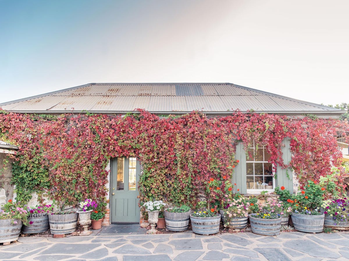 Coriole Vineyards Cellar Door and Restaurant | Food and Drink in ...